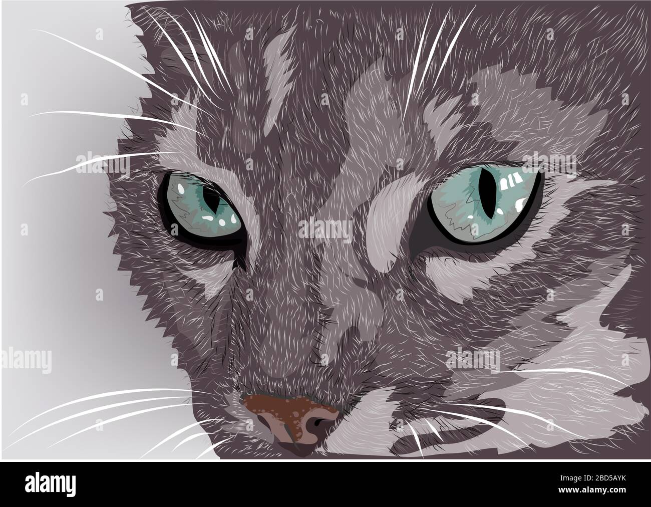 Portrait cat on gray Stock Vector Images - Alamy