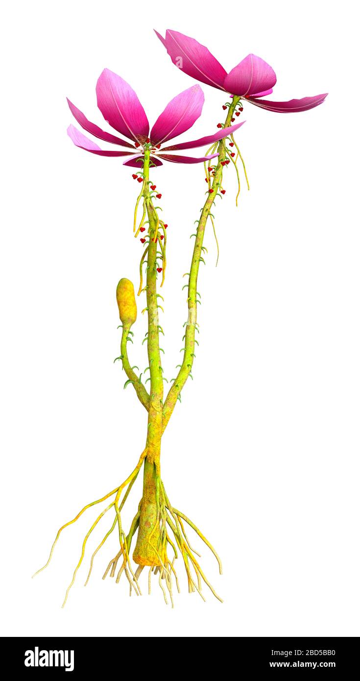 3D rendering of a fantasy alien flower isolated on white background ...