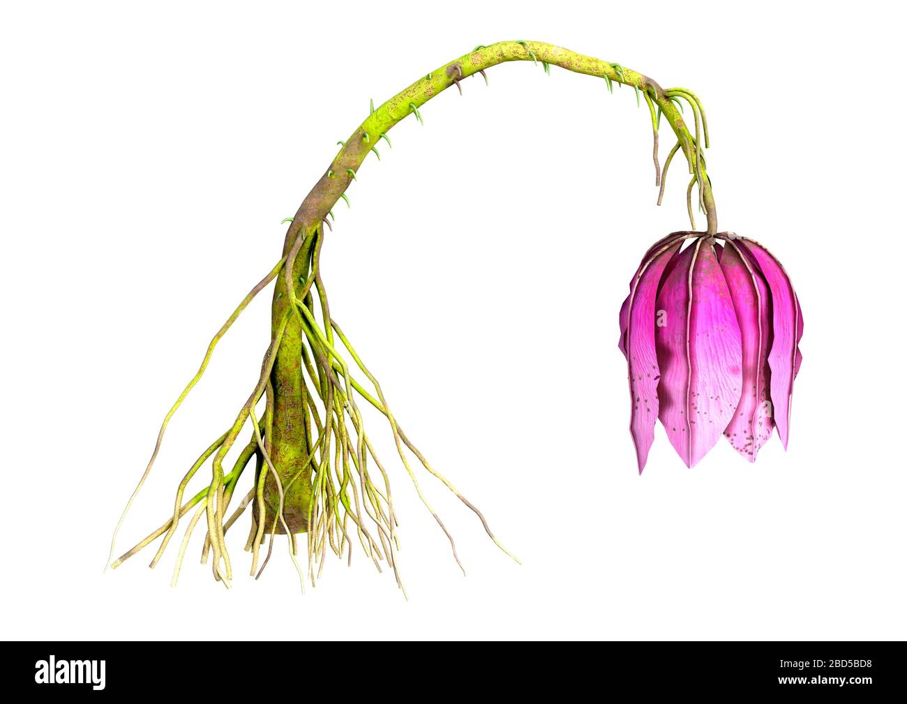 3D rendering of a fantasy alien flower isolated on white background ...
