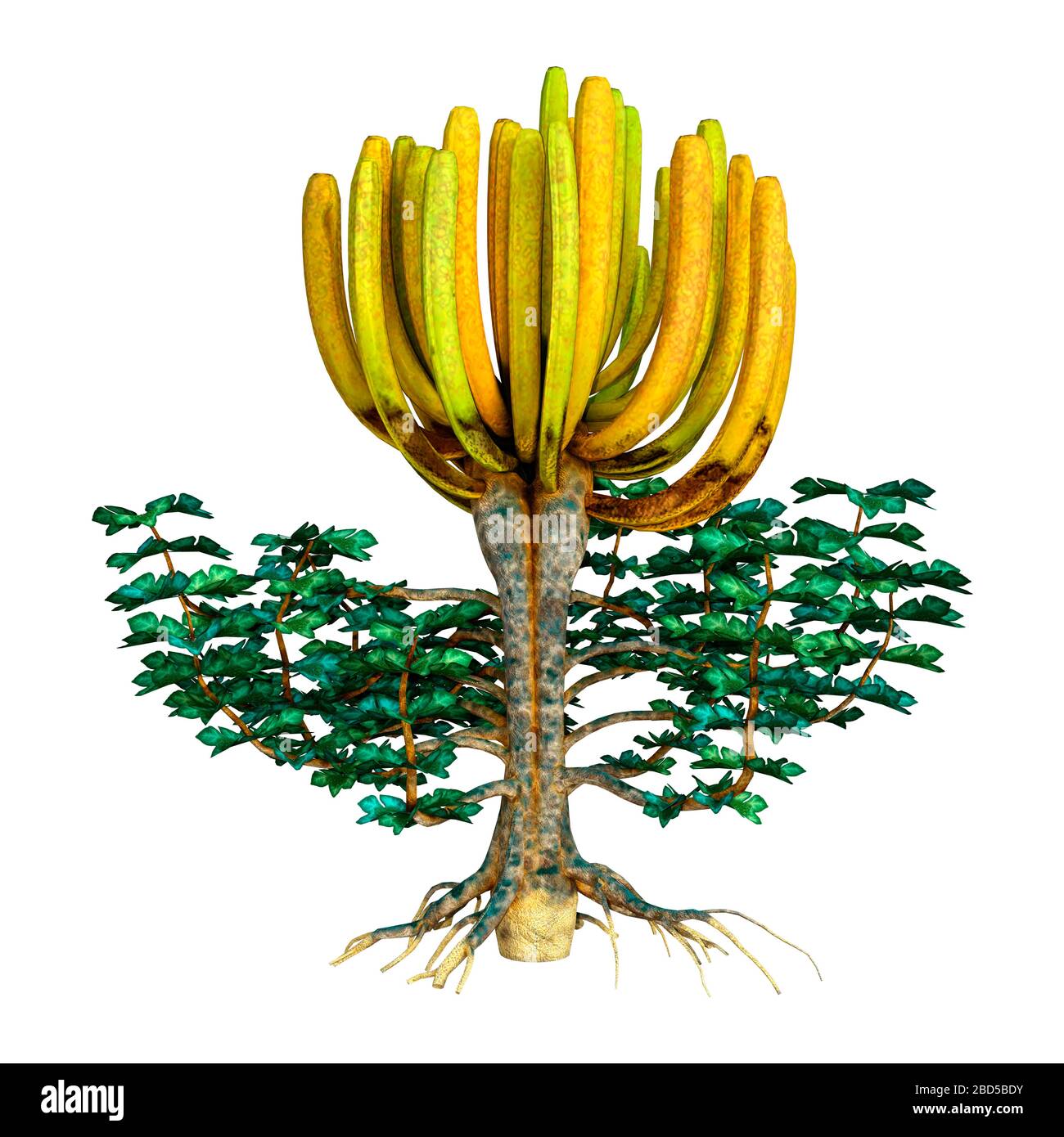 3D rendering of a fantasy alien plant isolated on white background ...