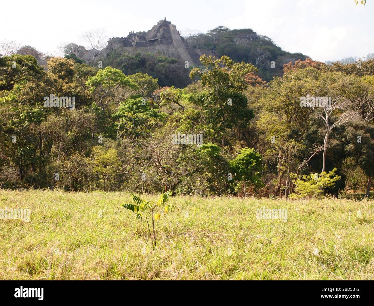 Ruins of the archaeological site of Tonina, a Mayan palace complex in ...