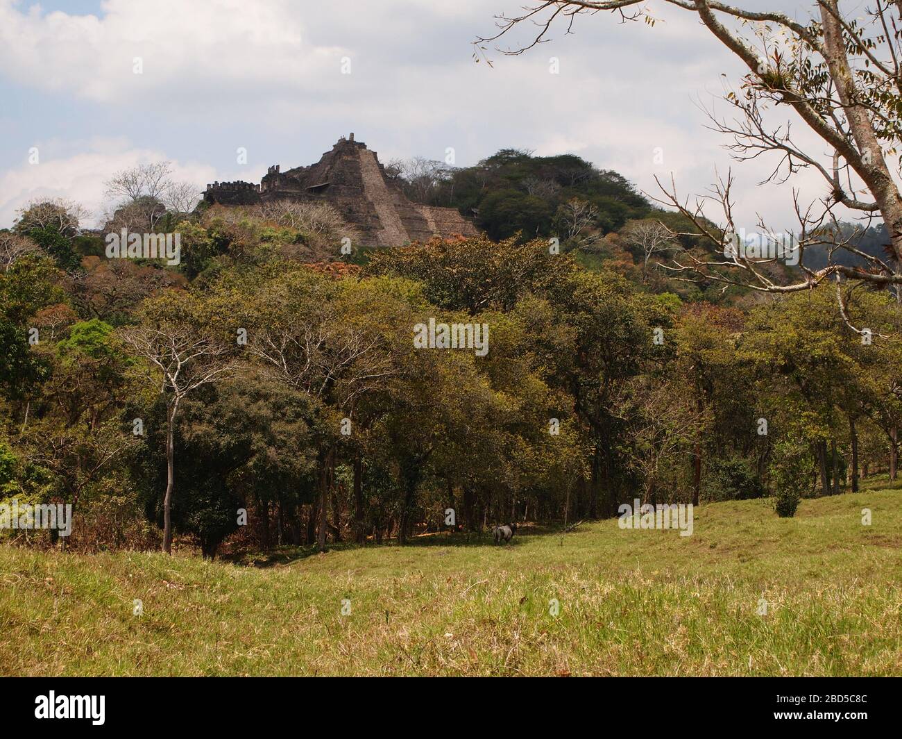 Ruins of the archaeological site of Tonina, a Mayan palace complex in ...