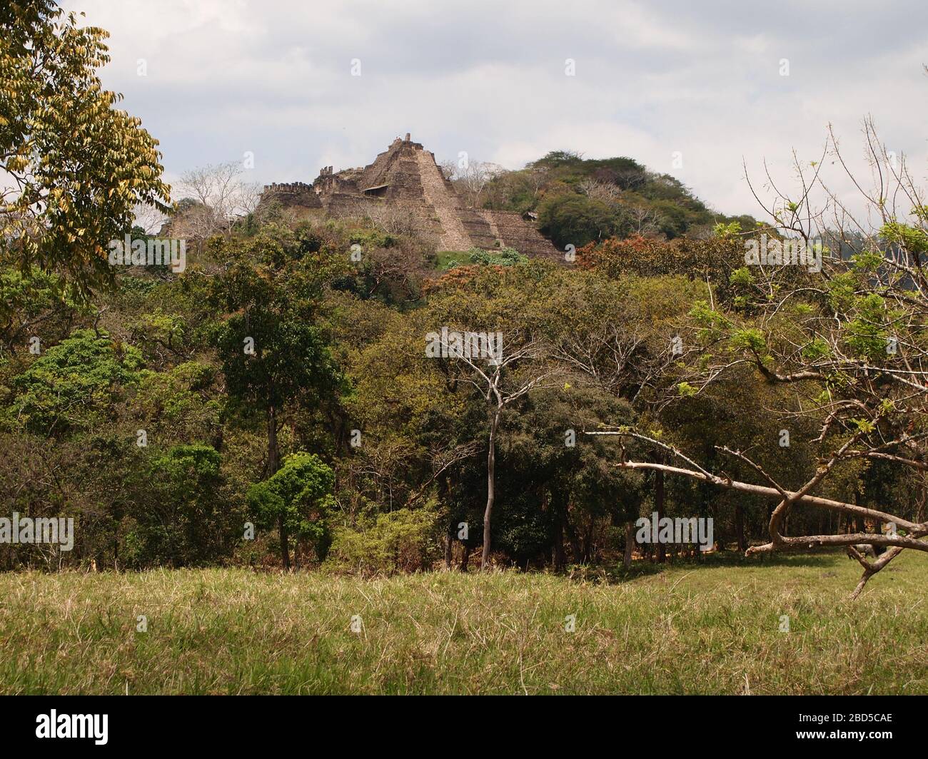 Ruins of the archaeological site of Tonina, a Mayan palace complex in ...