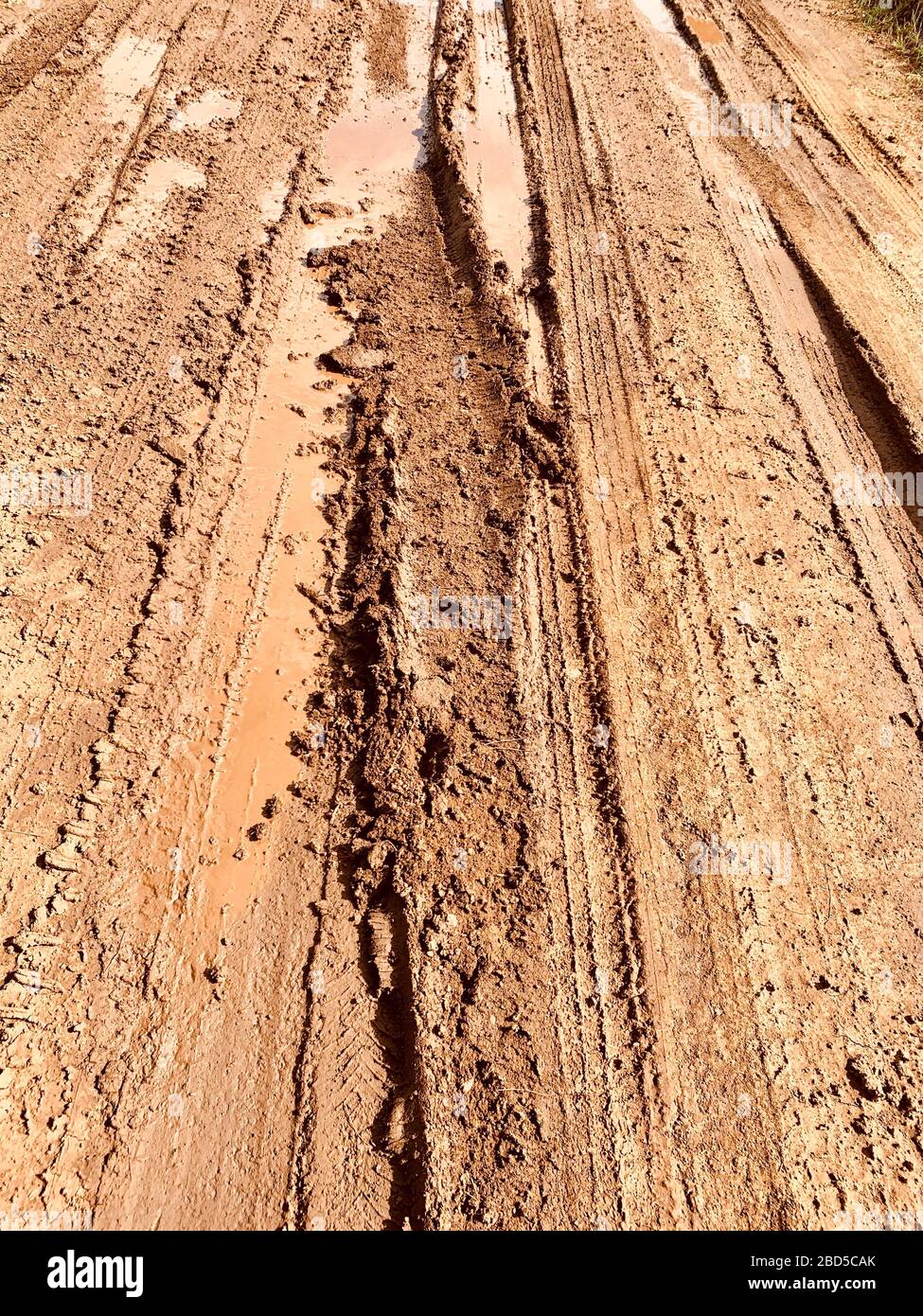 Muddy bumpy path in detail. Impassable road Stock Photo - Alamy