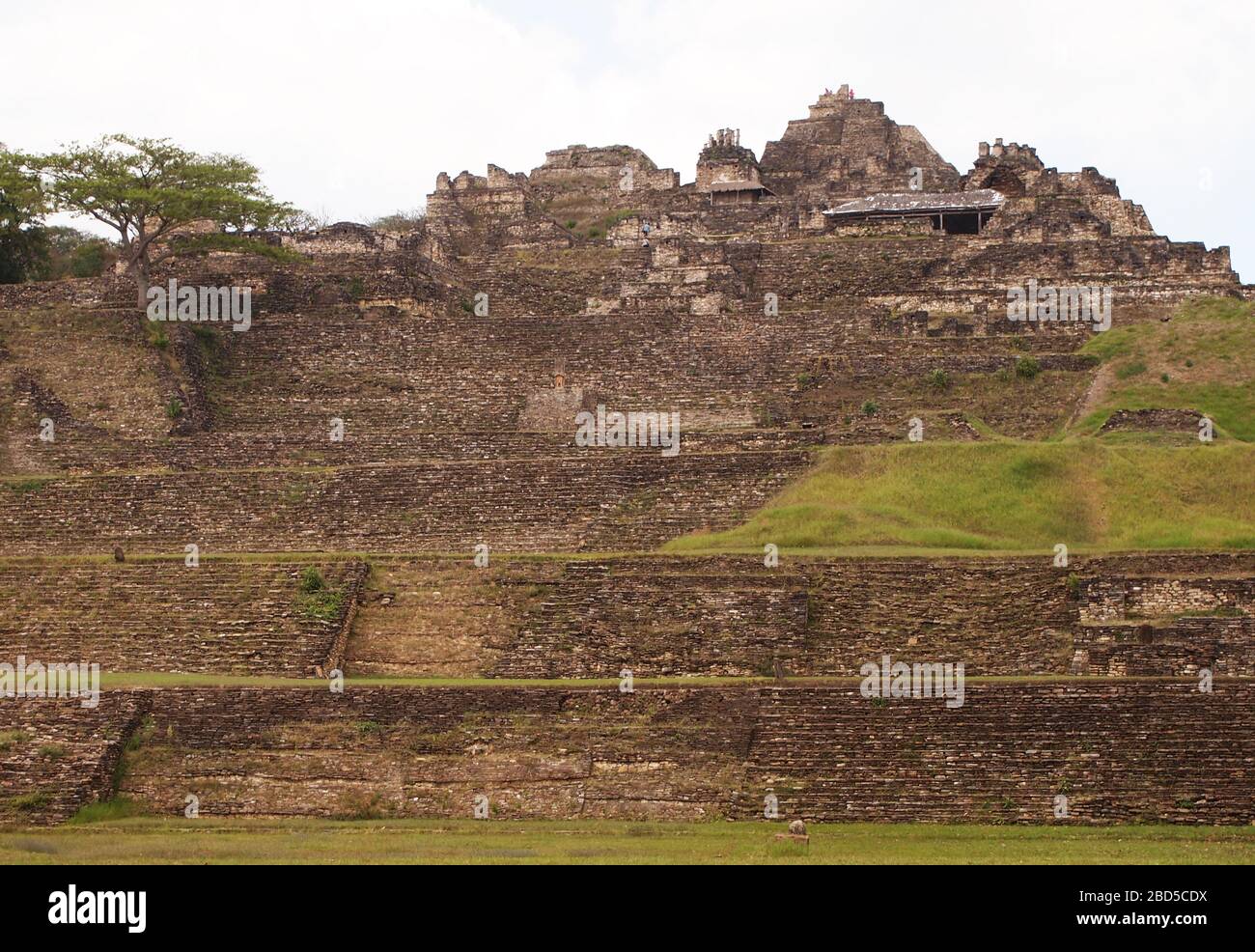 Ruins of the archaeological site of Tonina, a Mayan palace complex in ...