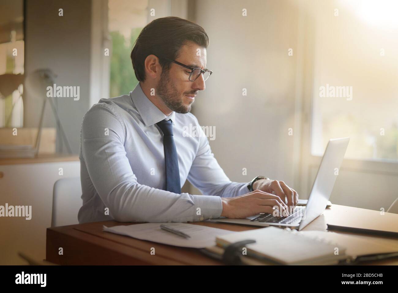 boss in home confinement working on his laptop Stock Photo - Alamy