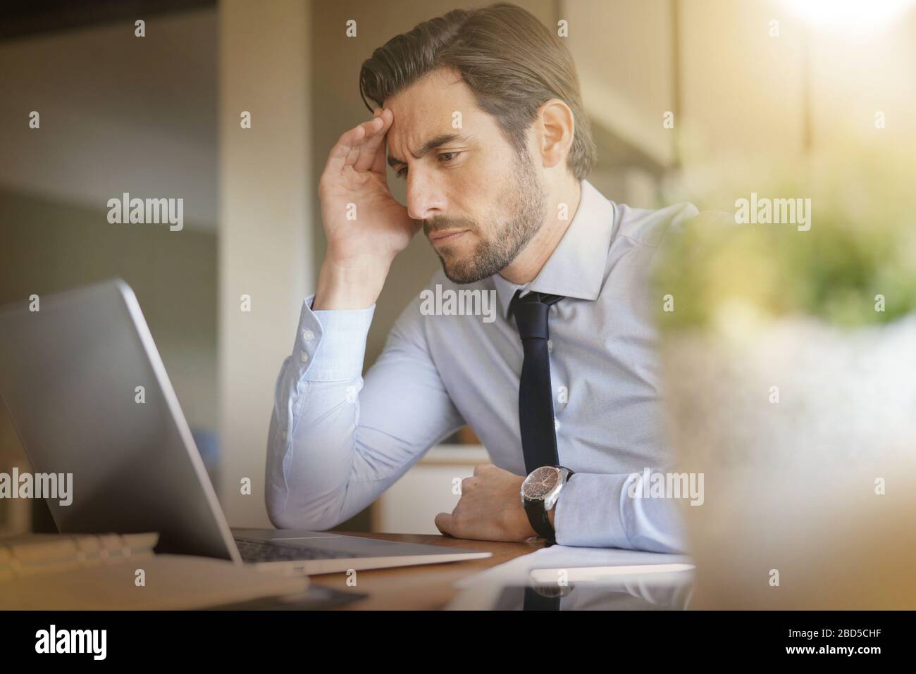 boss in home confinement working on his laptop Stock Photo - Alamy