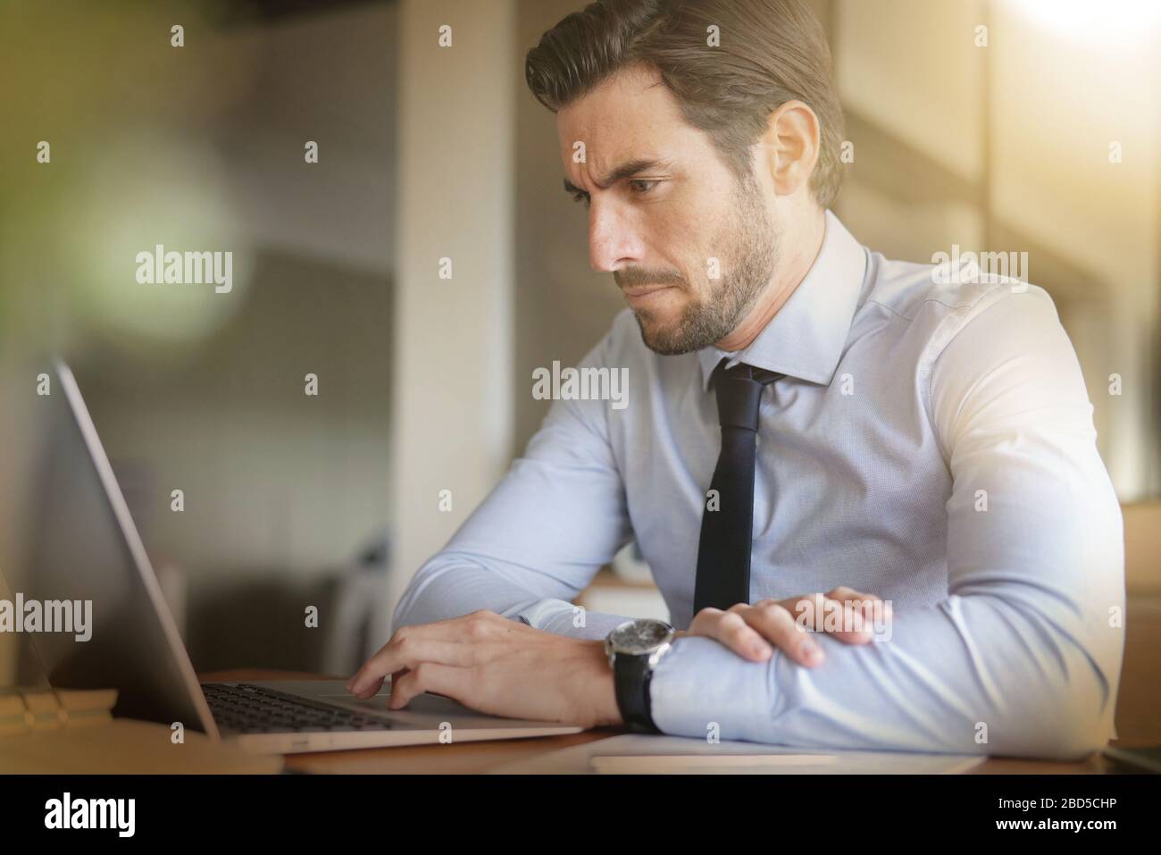 boss in home confinement working on his laptop Stock Photo - Alamy