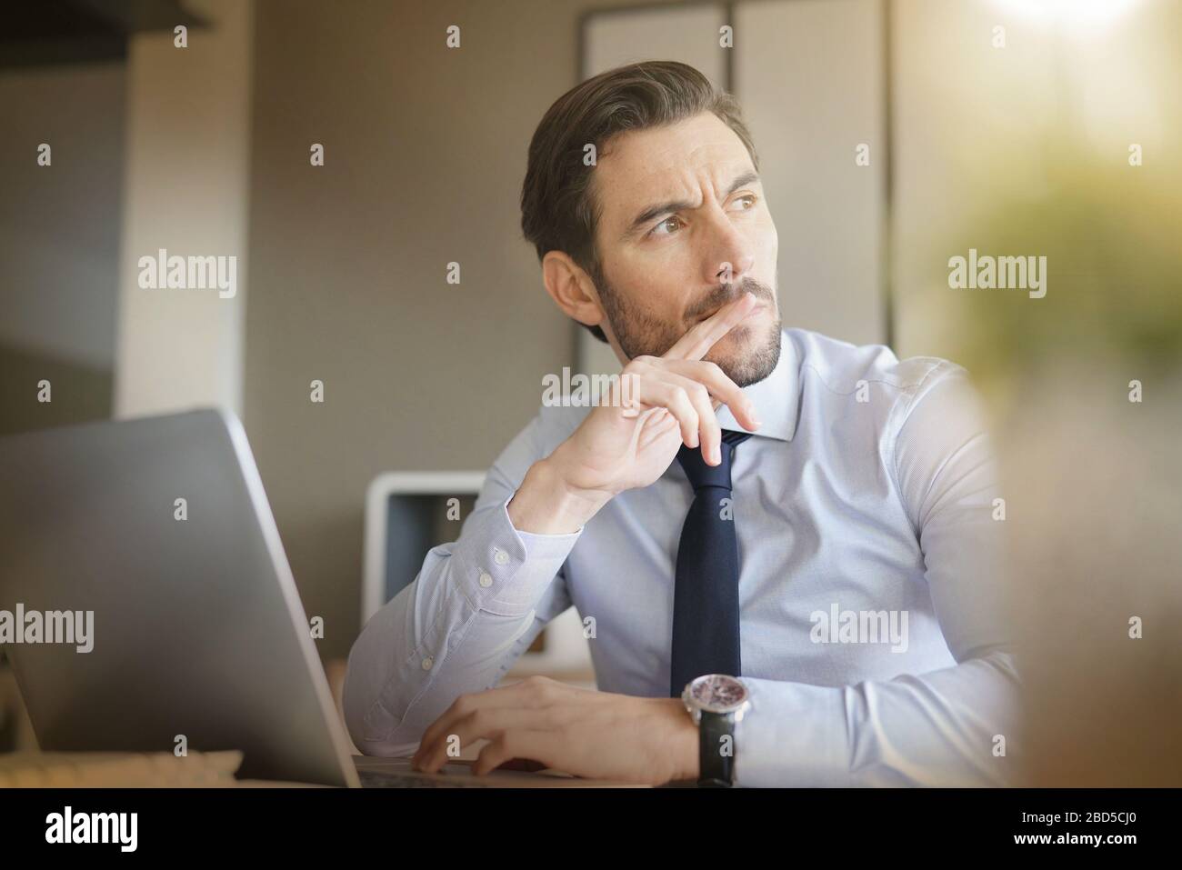 boss in home confinement working on his laptop Stock Photo - Alamy