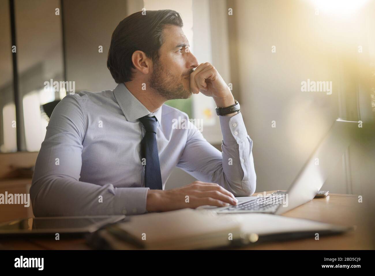 boss in home confinement working on his laptop Stock Photo - Alamy