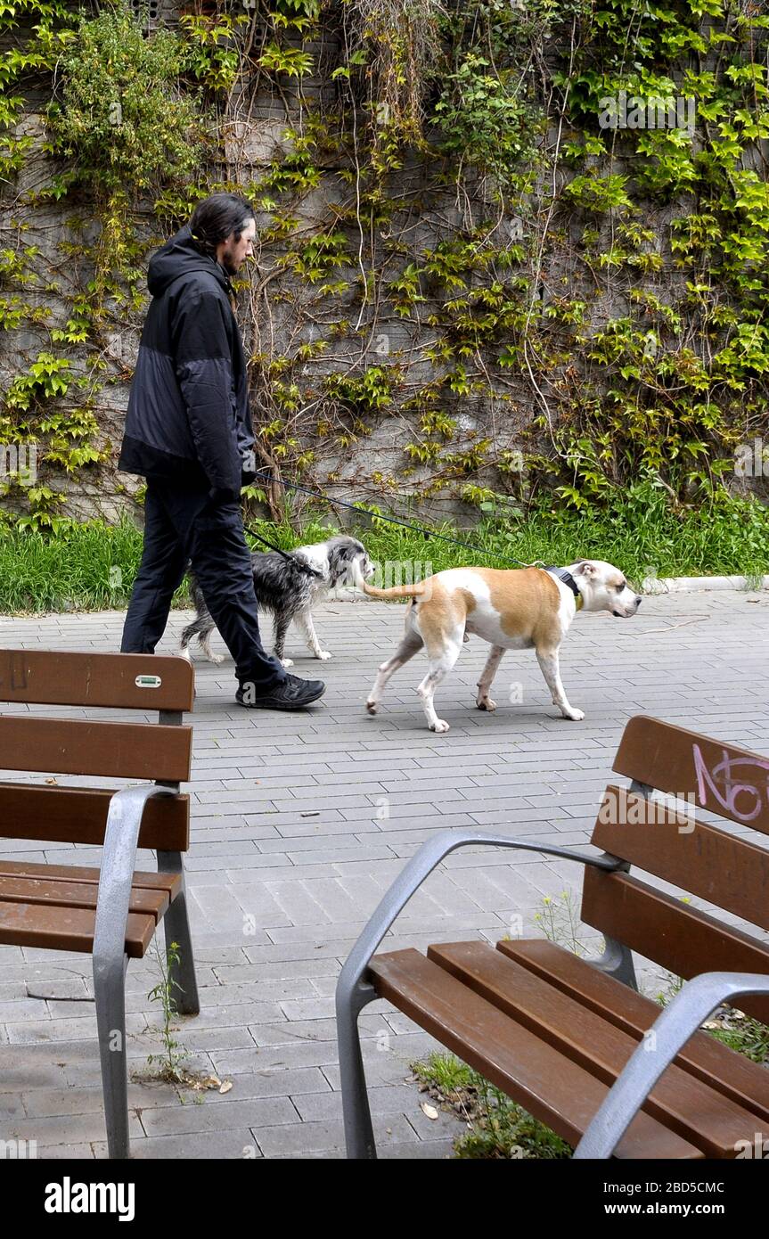 people walking the dog Stock Photo - Alamy