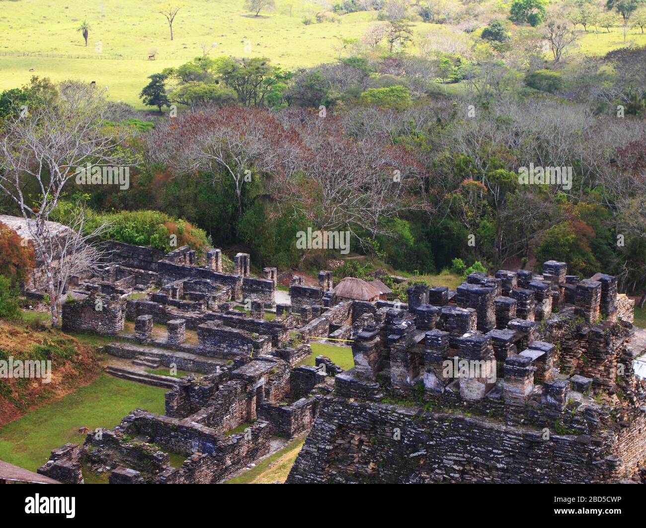 Ruins of the archaeological site of Tonina, a Mayan palace complex in ...
