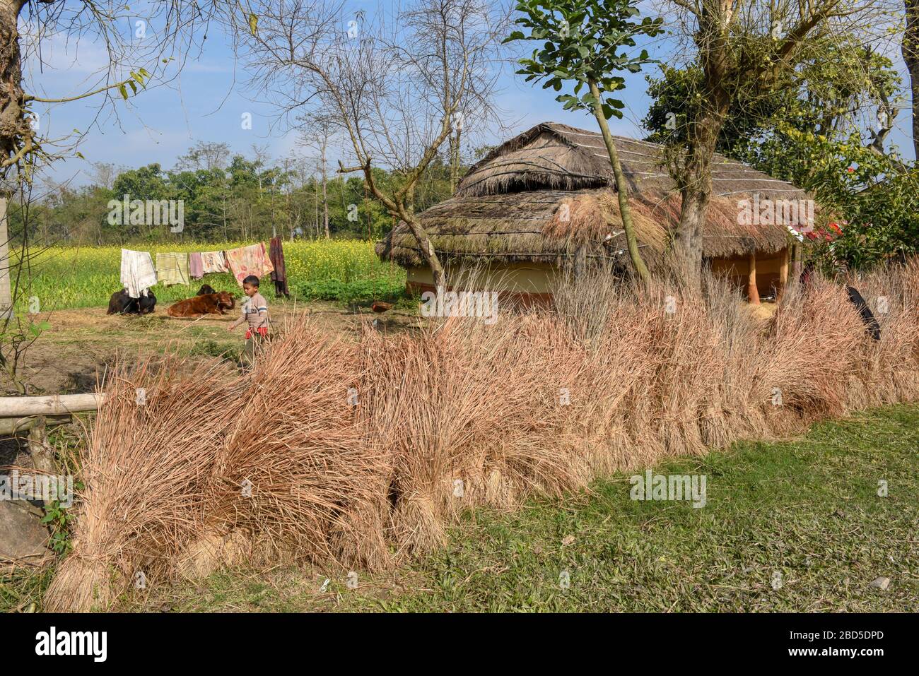 Nepal tharu house hi-res stock photography and images - Alamy
