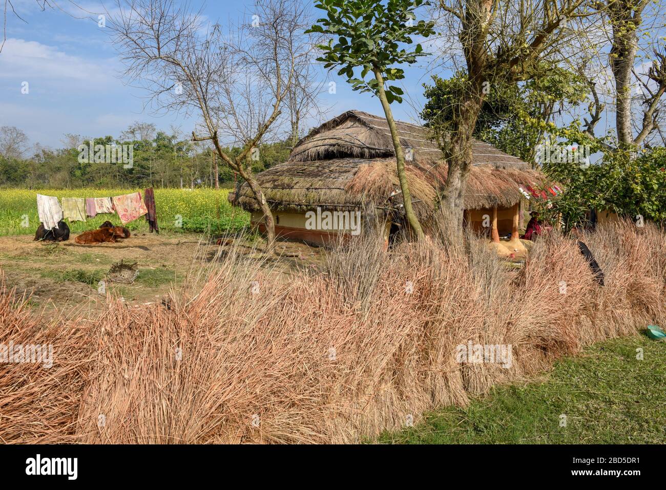 Nepal tharu house hi-res stock photography and images - Alamy