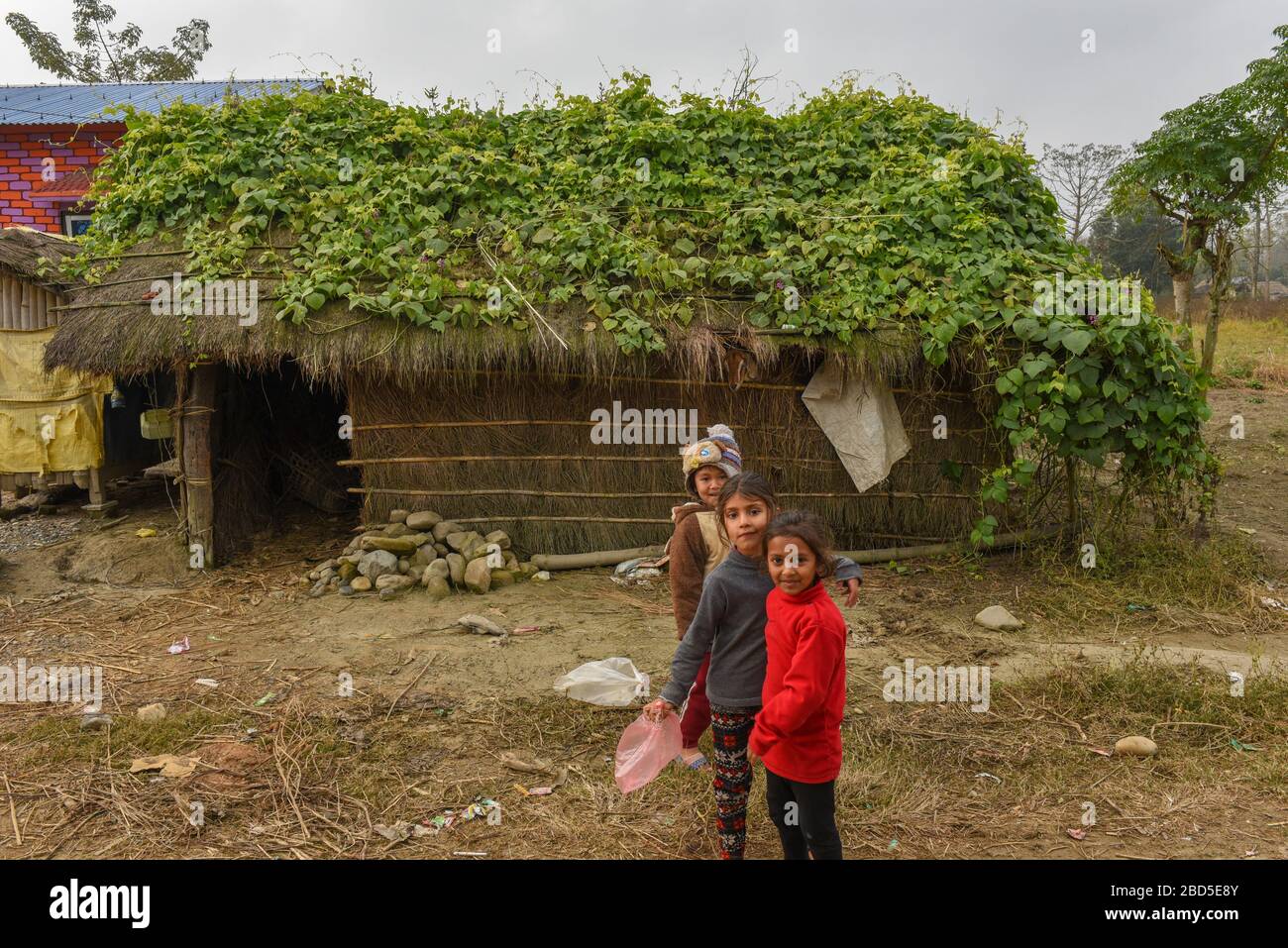 Nepal tharu house hi-res stock photography and images - Alamy