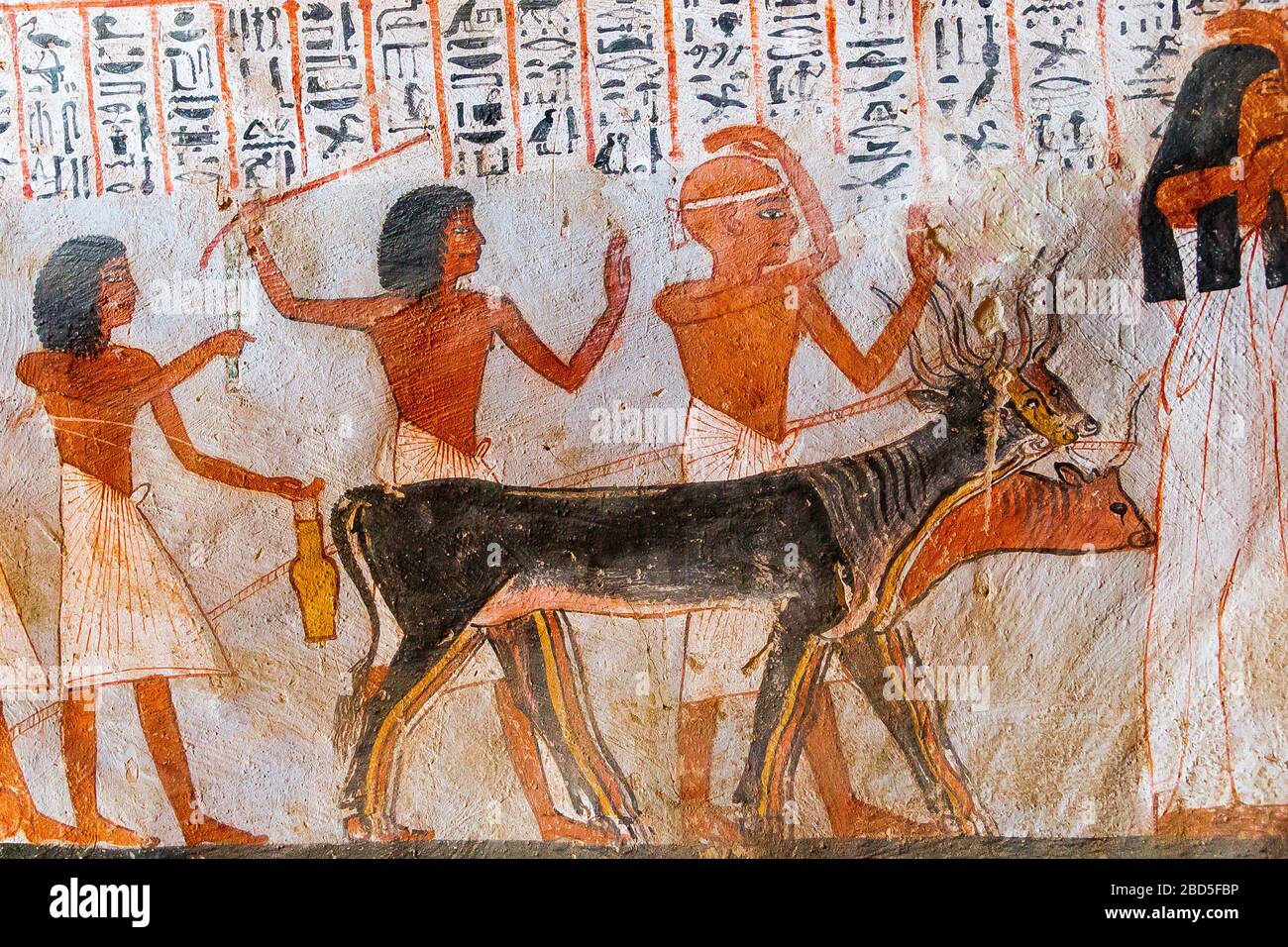 Funeral procession egypt hi-res stock photography and images - Alamy