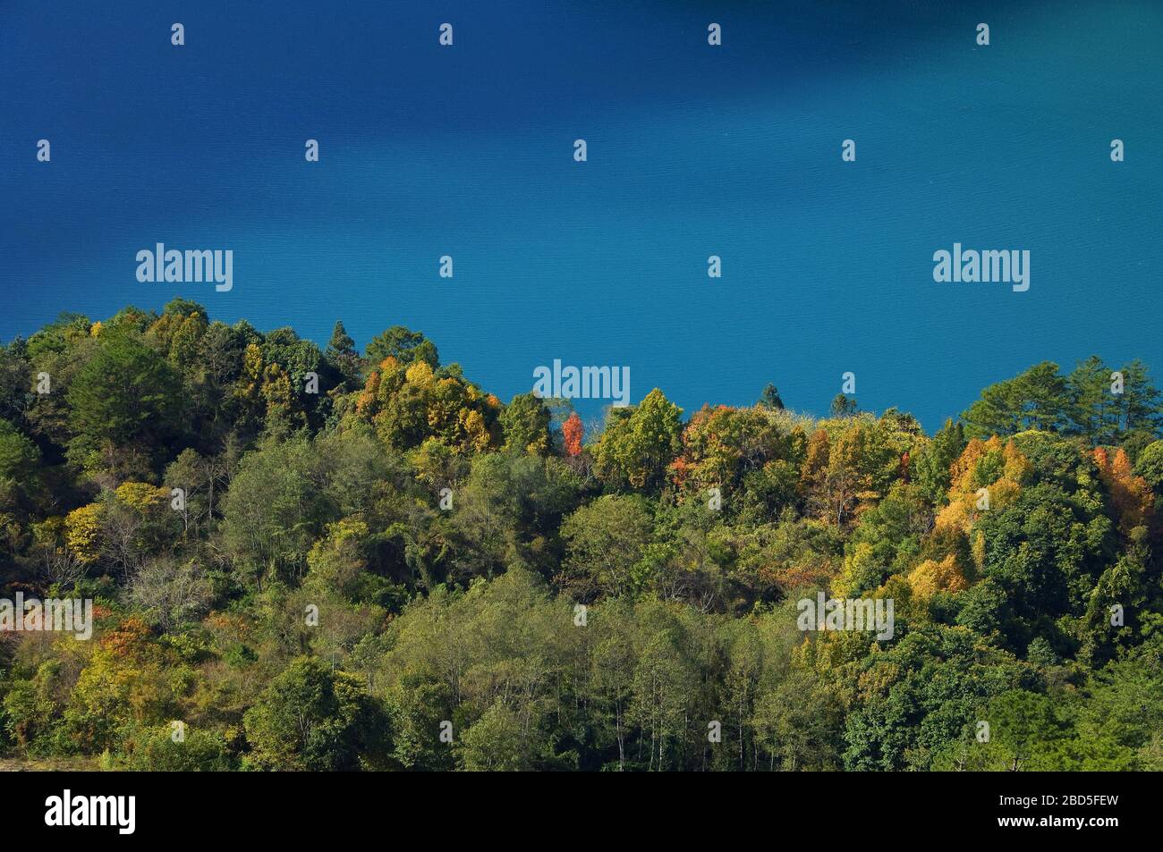 Techi hi-res stock photography and images - Alamy