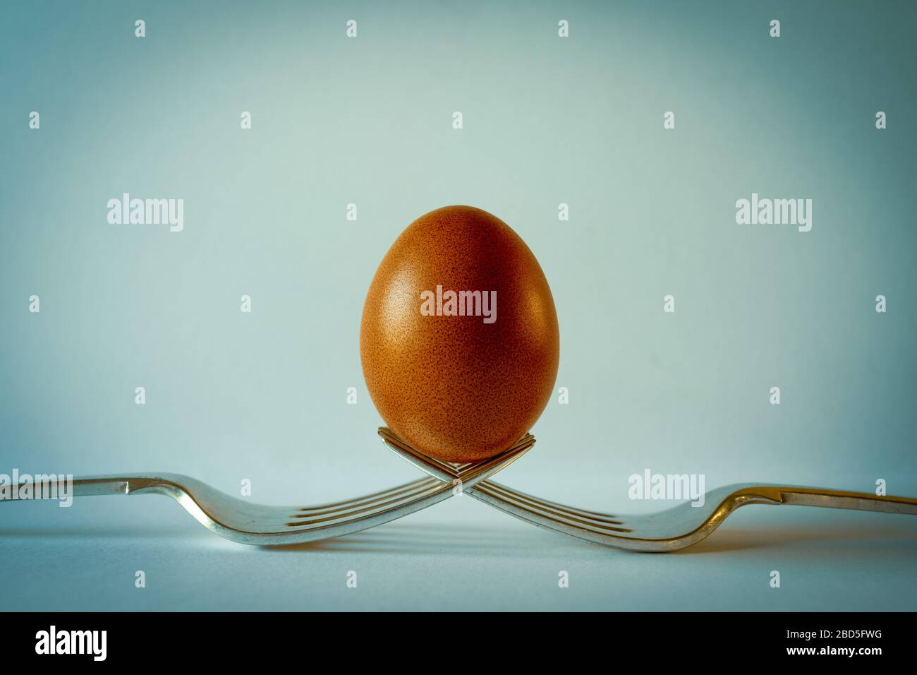 Brown Egg balanced on two forks with a light blue background Stock ...