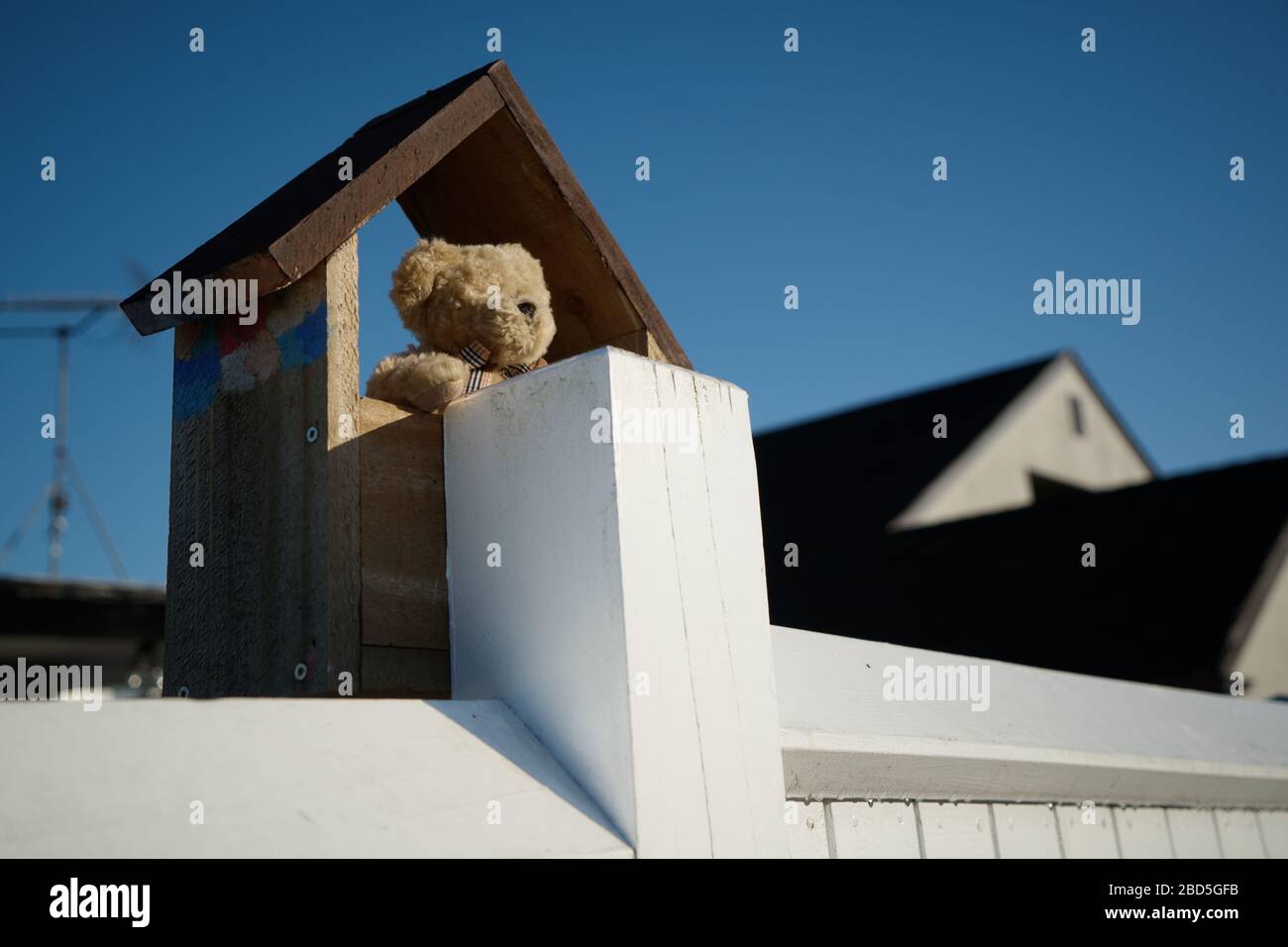 St Heliers, Auckland / New Zealand - April 04 2020: Small teddy bear in ...