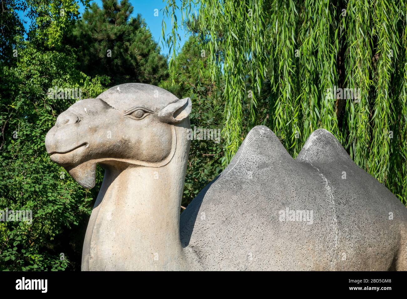 Camel statues hi-res stock photography and images - Alamy