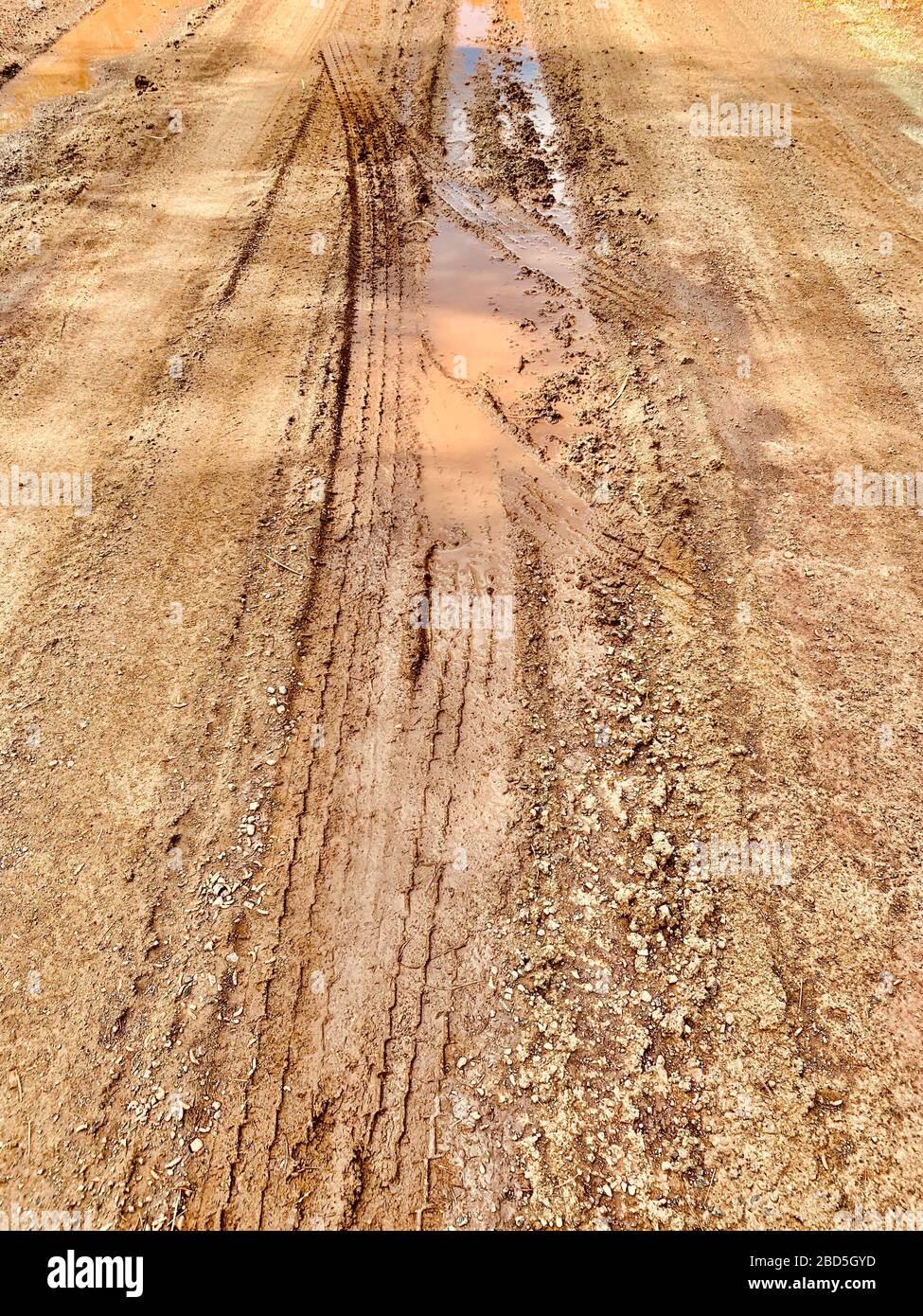 Muddy bumpy path in detail. Impassable road Stock Photo - Alamy