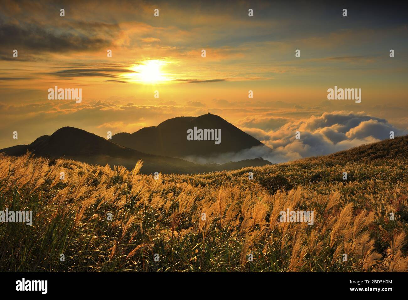 Yangmingshan National Park Taipei Taiwan Stock Photo - Alamy