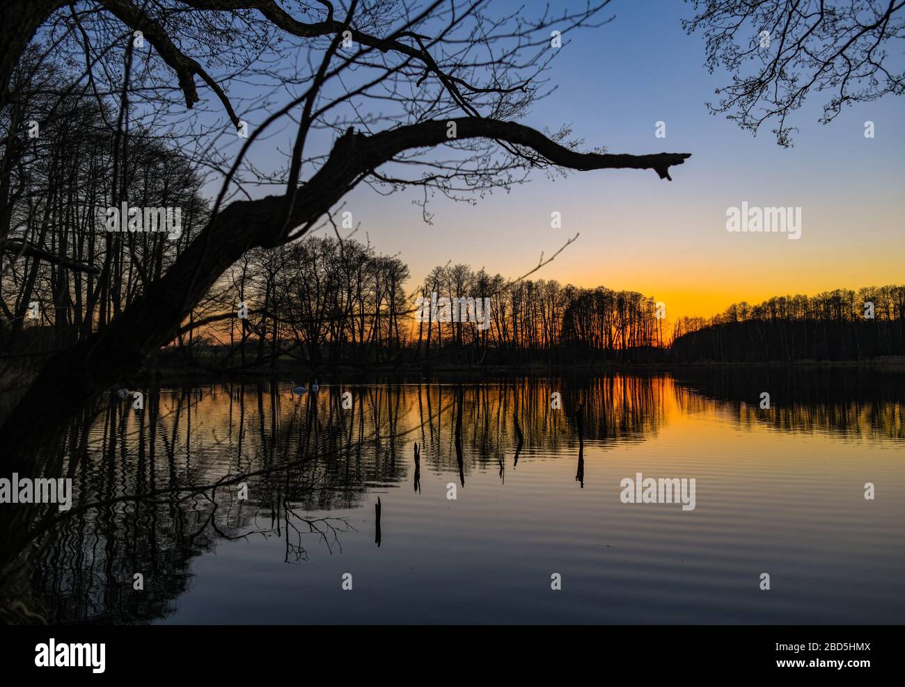 Lietzen, Germany. 05th Apr, 2020. Sunset at Lake Kalisch in the ...