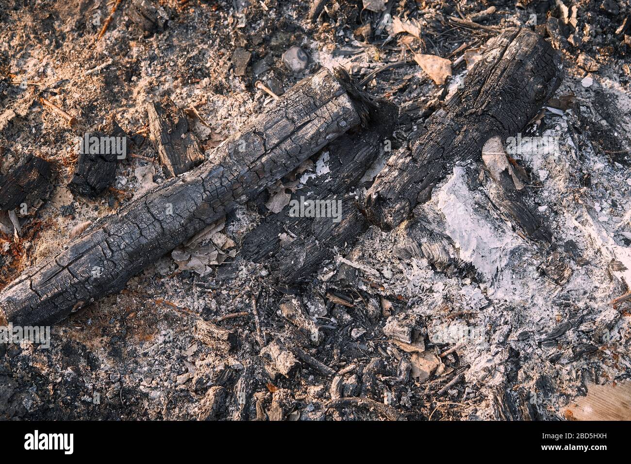 Remains of charcoal and ash after burning wood Stock Photo - Alamy