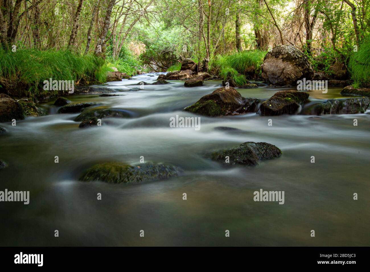 placid landscape of the river that shows us its calm and its vejecion ...