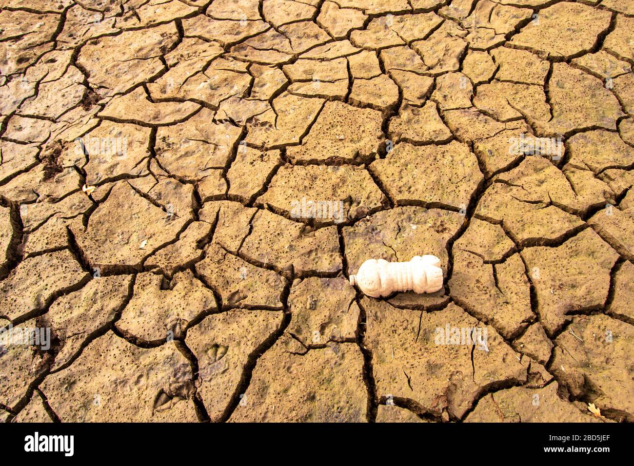 Bareness hi-res stock photography and images - Alamy