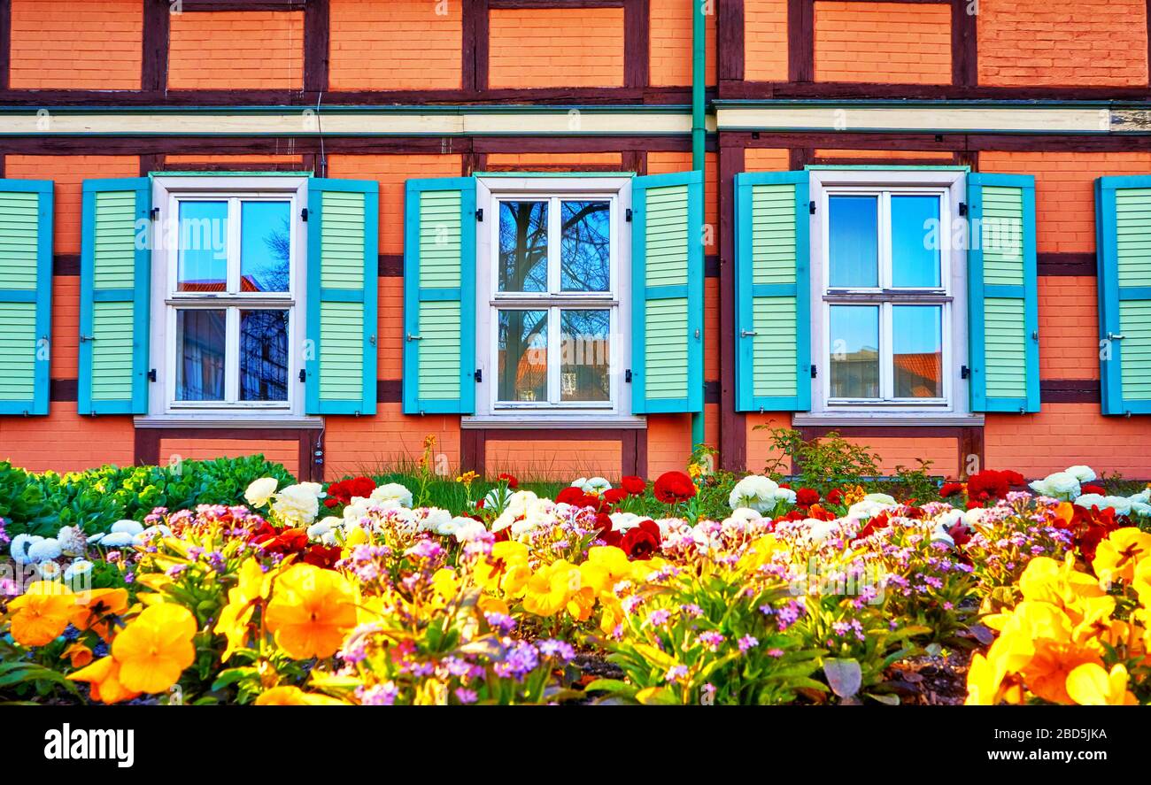 Colorful spring flowers in a front garden of a half-timbered house ...
