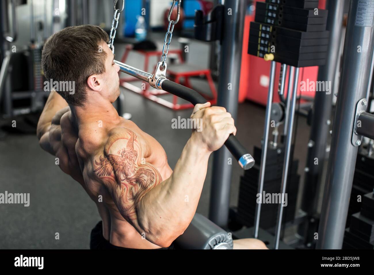 Male fitness model bodybuilder back High Resolution Stock Photography ...