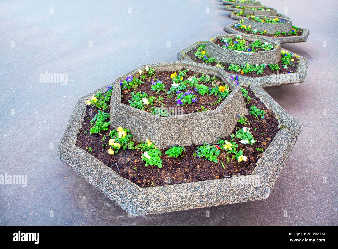 stone flower pots on the asphalt road Stock Photo - Alamy