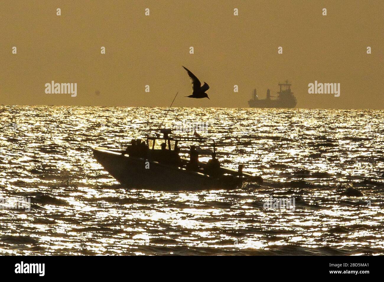 Pcg High Resolution Stock Photography and Images - Alamy