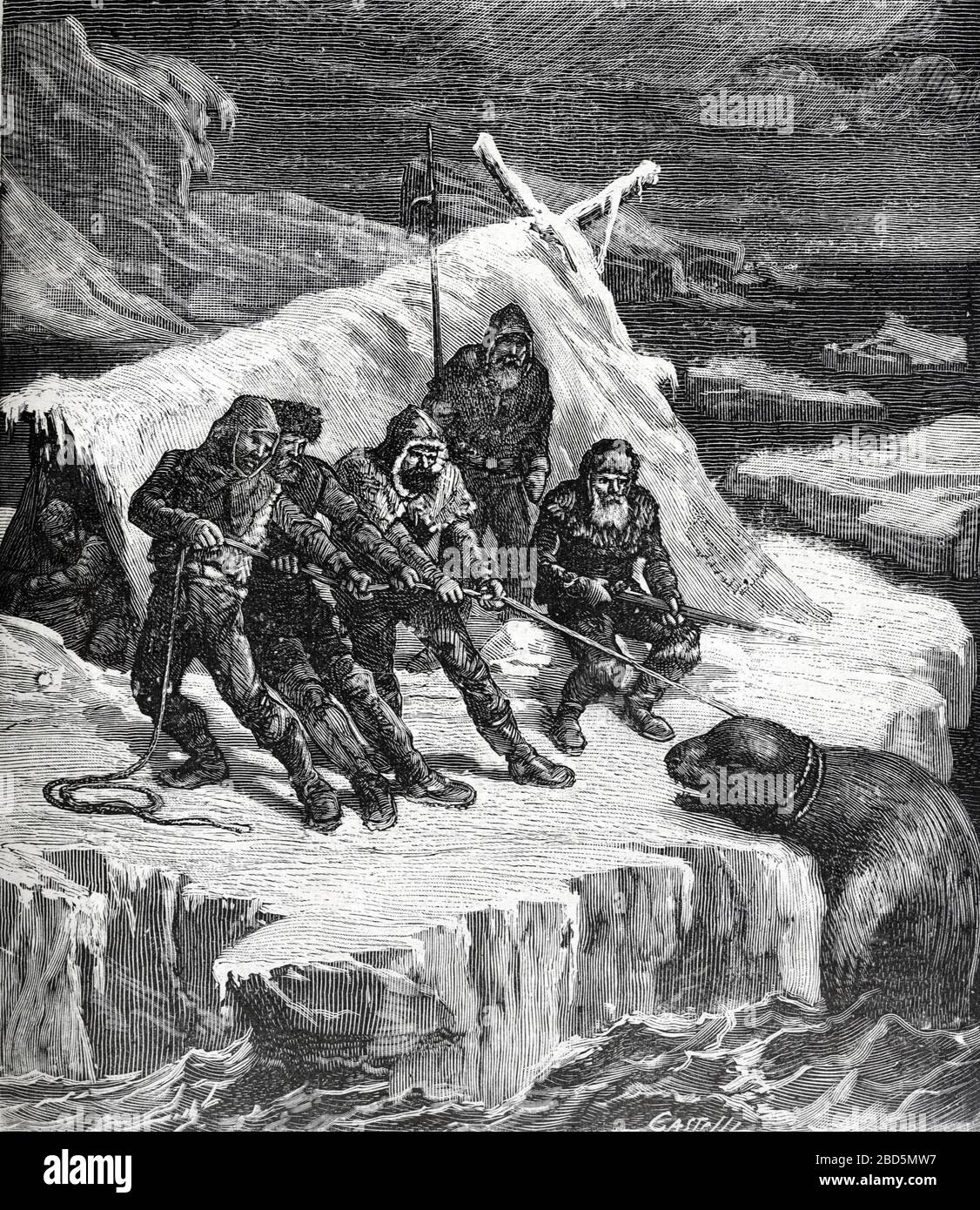 Seal Hunt from the Icefloe in the Arctic. Vintage or Old Illustration ...