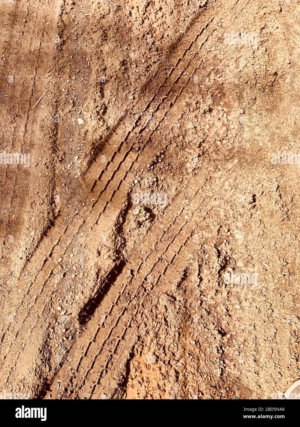Muddy bumpy path in detail. Impassable road Stock Photo - Alamy