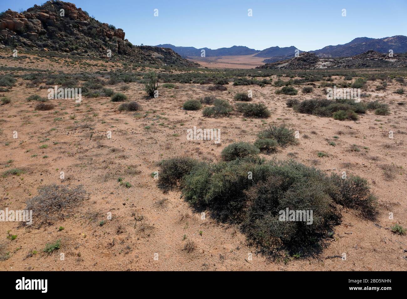 Springbok northern cape south africa africa hi-res stock photography ...