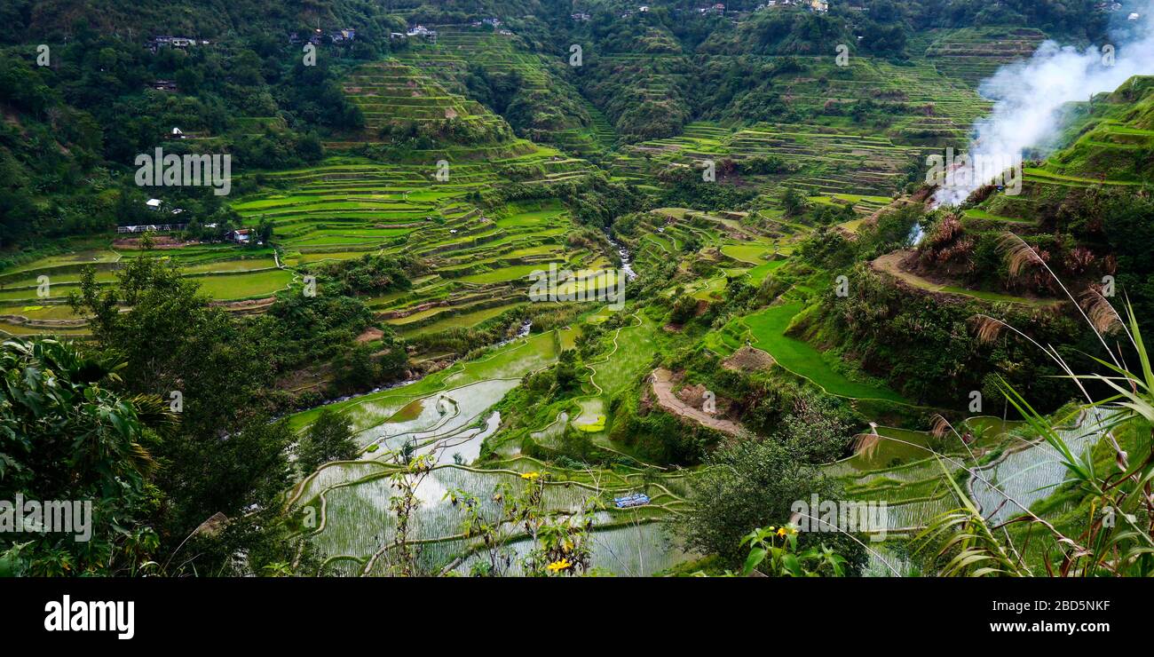 rice field terraces in the area of banaue,in Philippines Stock Photo ...