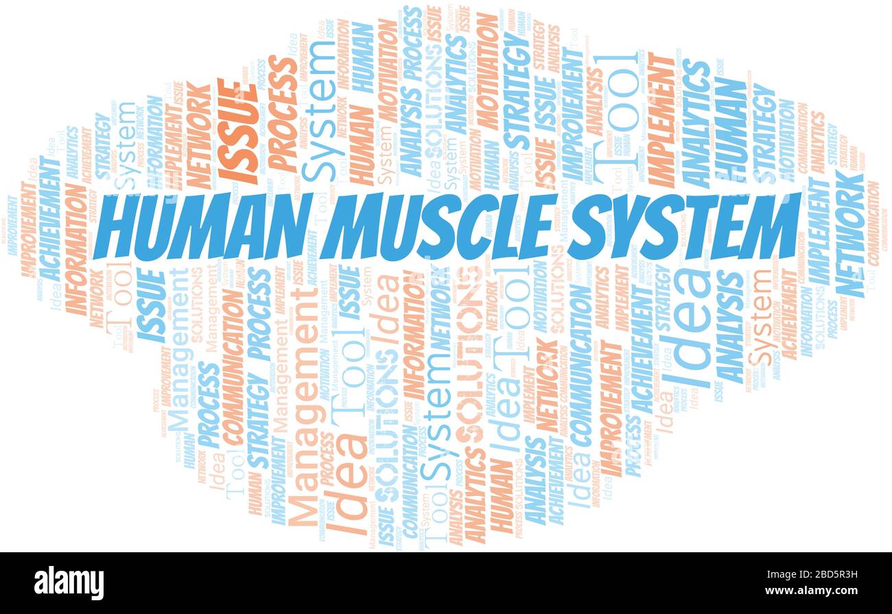 Human Muscle System typography vector word cloud. Wordcloud collage ...
