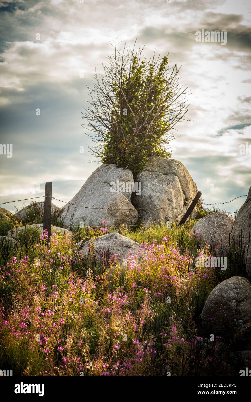 Reportages hi-res stock photography and images - Alamy