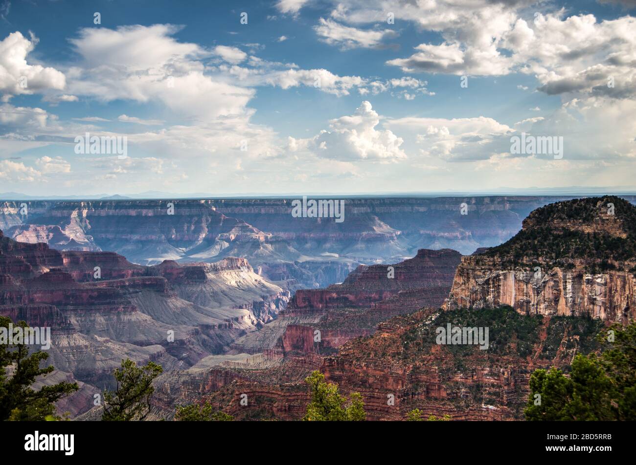 North Rim Grand Canyon Stock Photo - Alamy