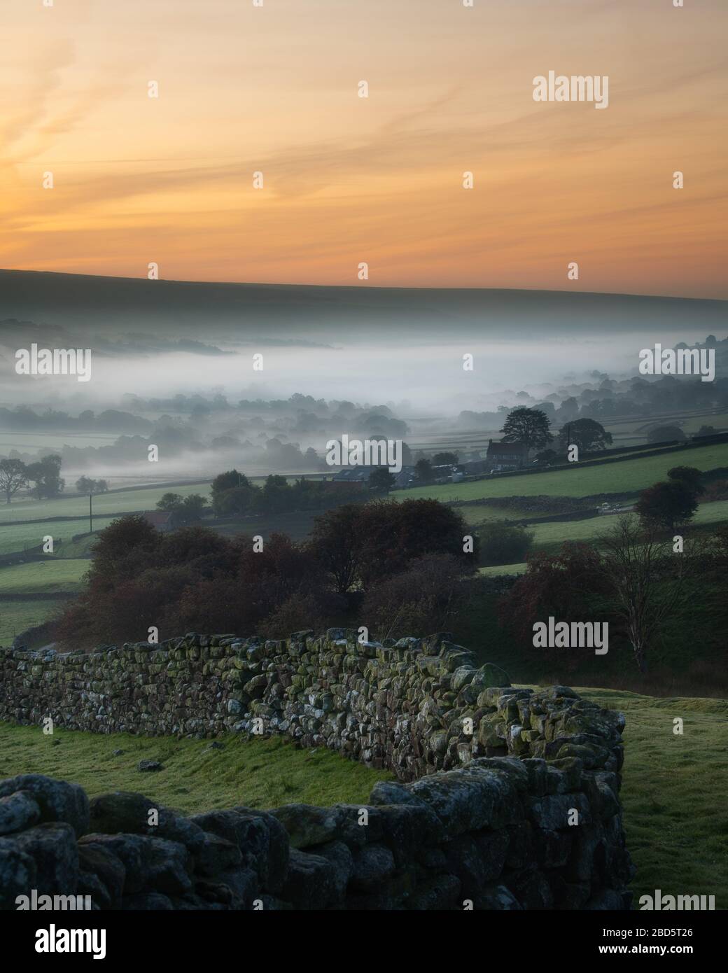Daffodil valley yorkshire hi-res stock photography and images - Alamy