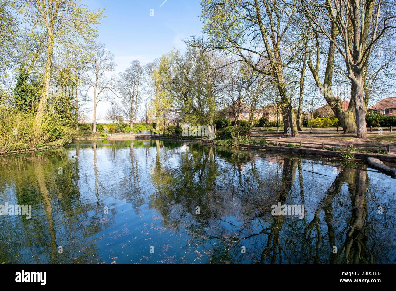 Sunny spring day at Arnot Hill Park, captured during the Covid-19 ...