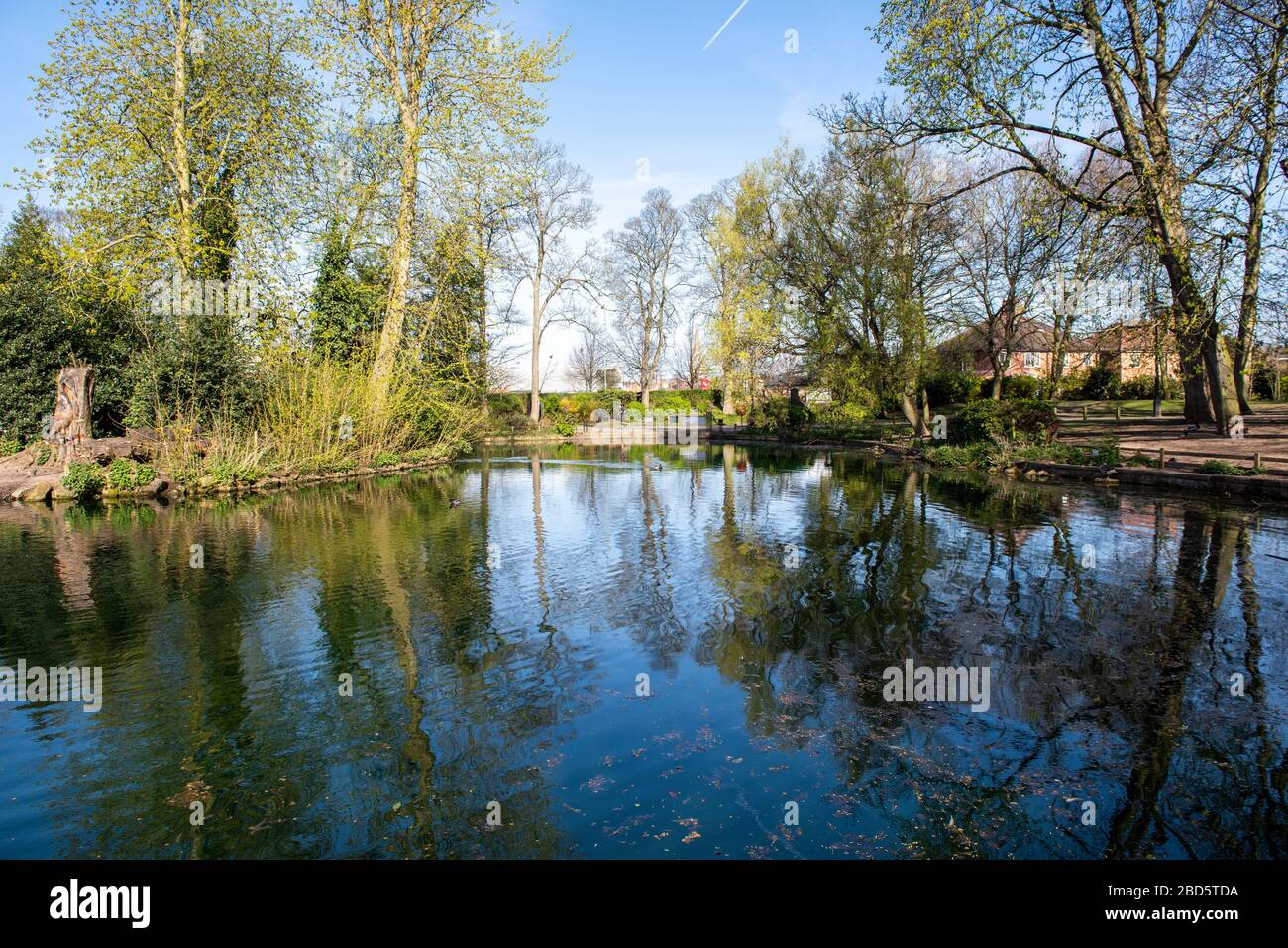 Sunny spring day at Arnot Hill Park, captured during the Covid-19 ...