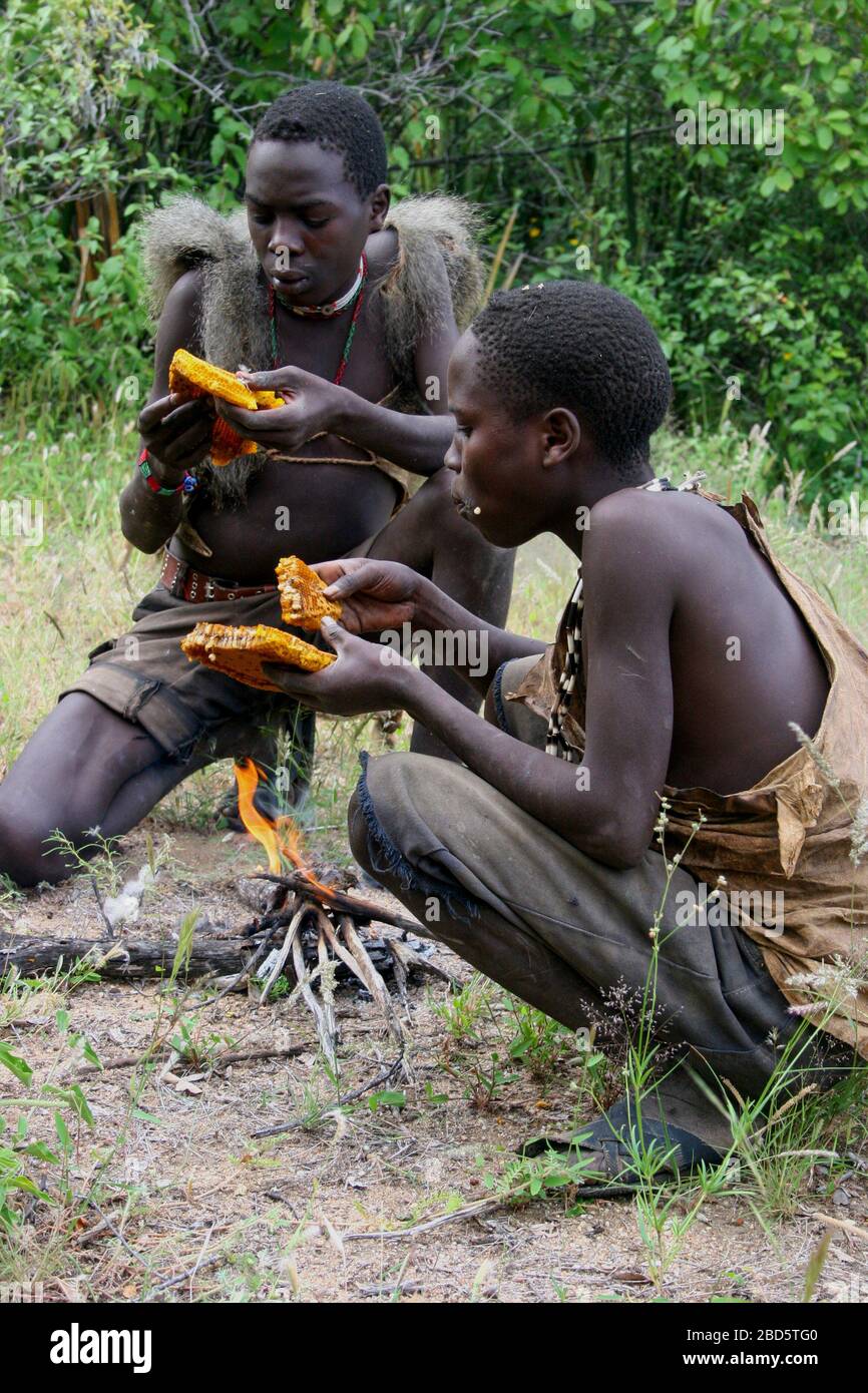 Tribe africa food gathering hi-res stock photography and images - Alamy