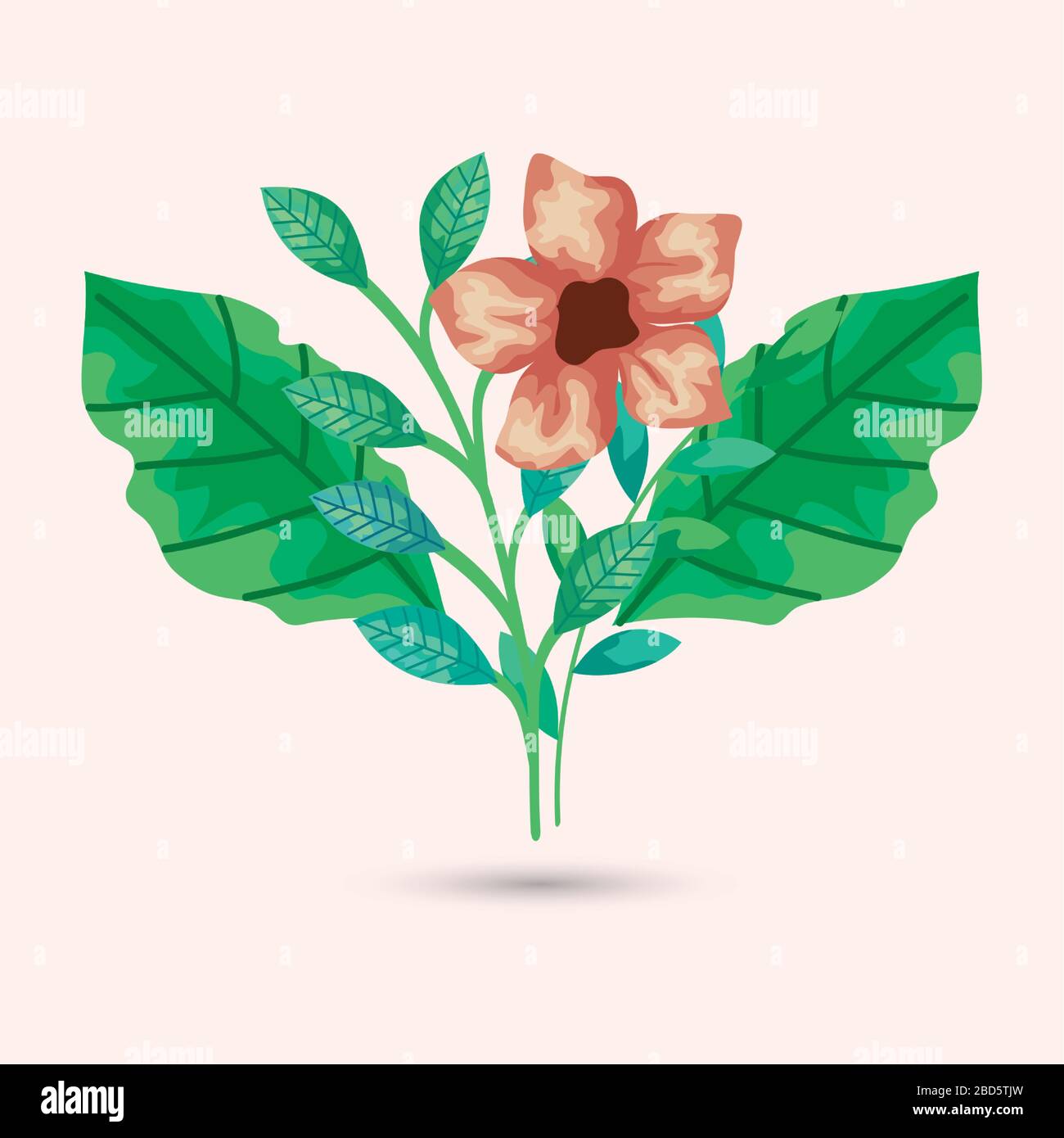 brown flower and leaves vector design Stock Vector Image & Art - Alamy