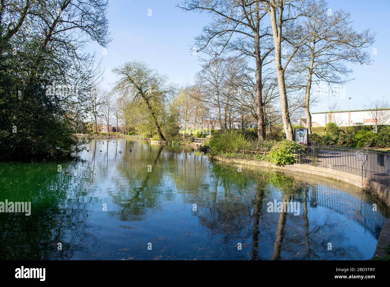 Sunny spring day at Arnot Hill Park, captured during the Covid-19 ...
