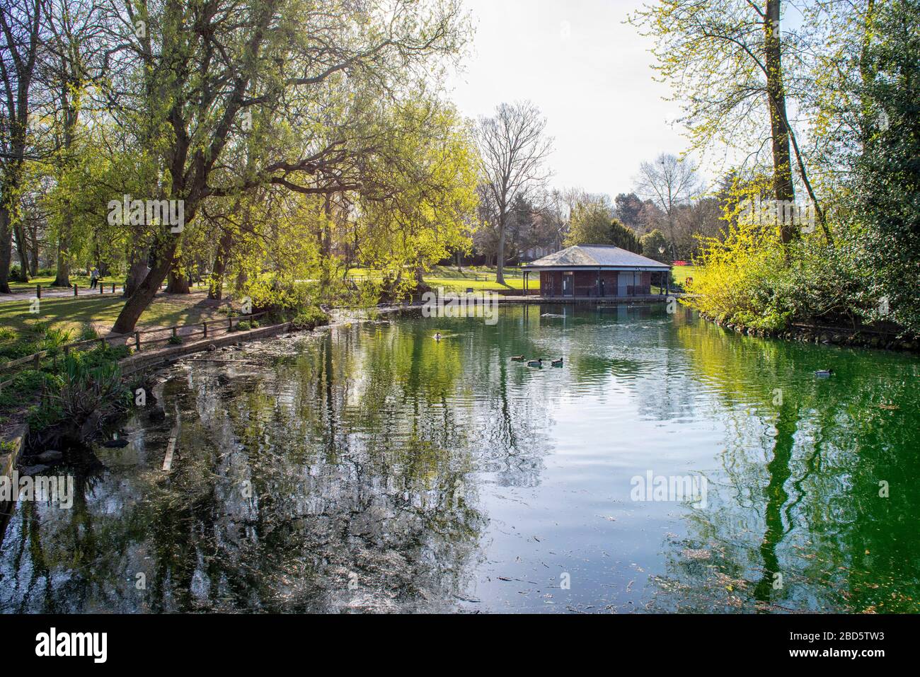 Sunny spring day at Arnot Hill Park, captured during the Covid-19 ...
