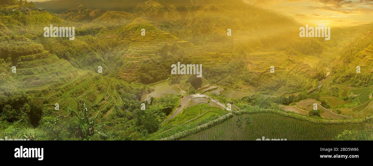 sunset in the rice field terraces in the area of banaue,in Philippines ...