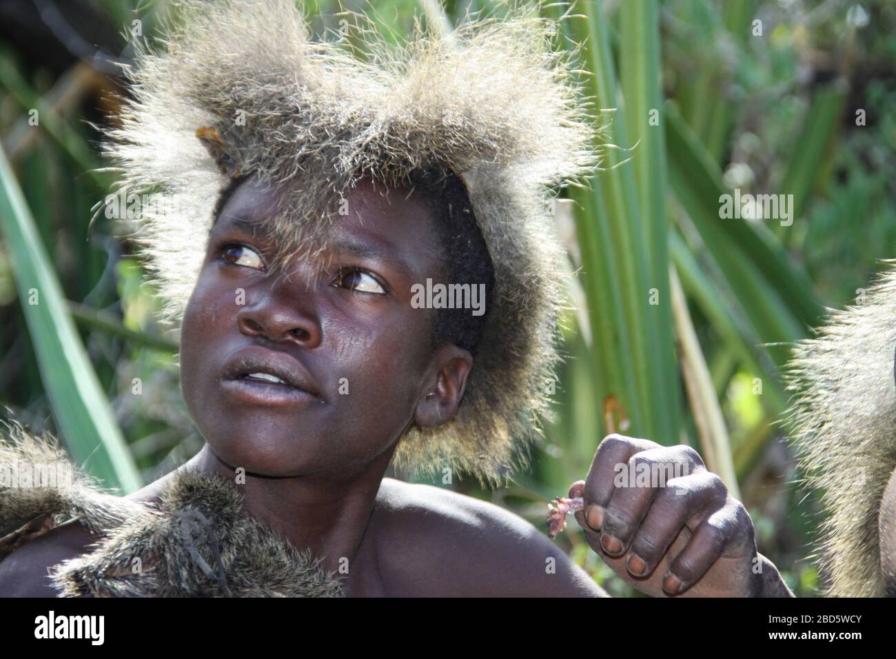 Hunters and gatherers hi-res stock photography and images - Alamy